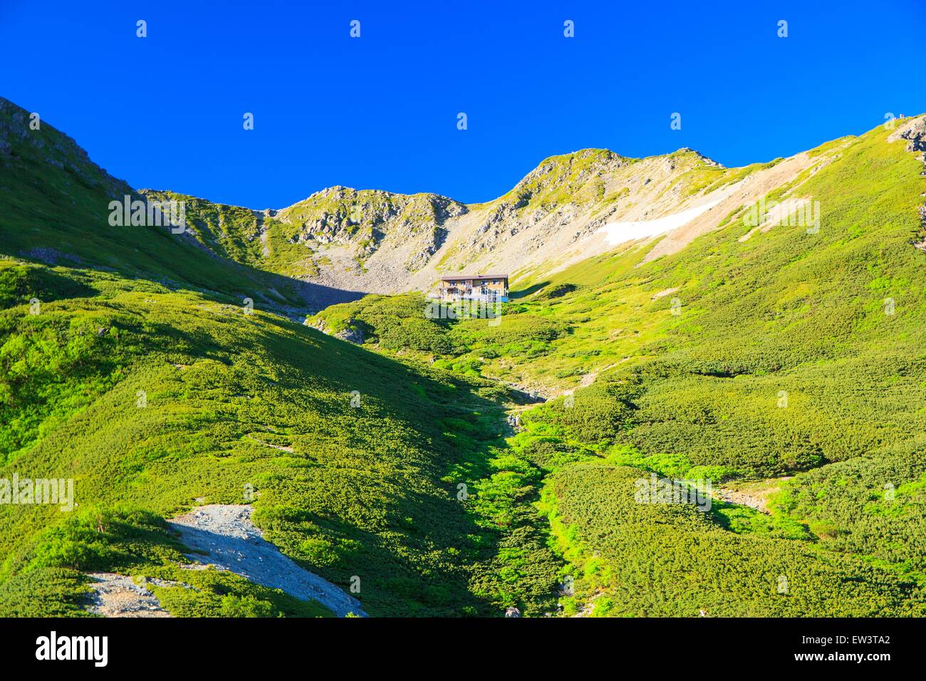Yamanashi forest hi-res stock photography and images - Alamy