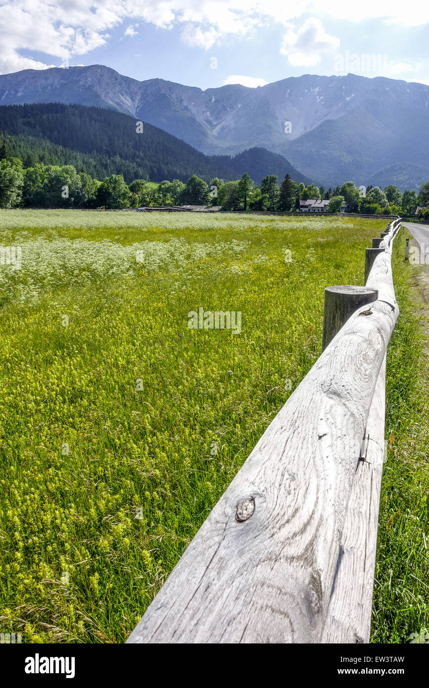 Hay pasture, Losenheim, Schneeberg, Lower Austria, Austria Stock Photo ...