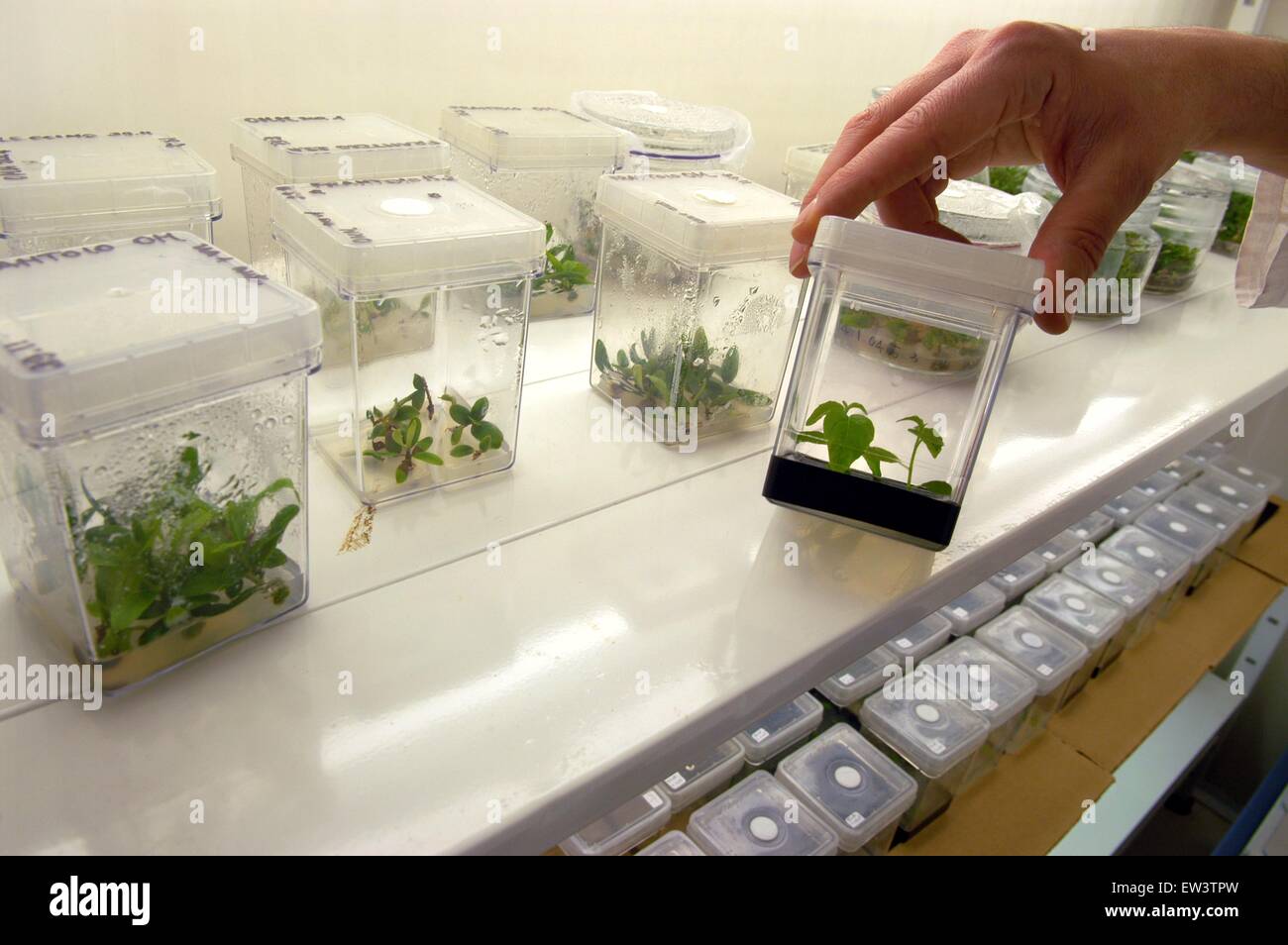 Advanced School St.Anna of Pisa (Italy), research center of Pontedera ...