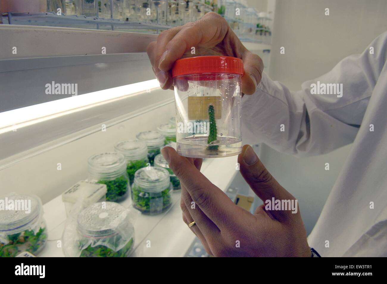 Advanced School St.Anna of Pisa (Italy), research center of Pontedera ...