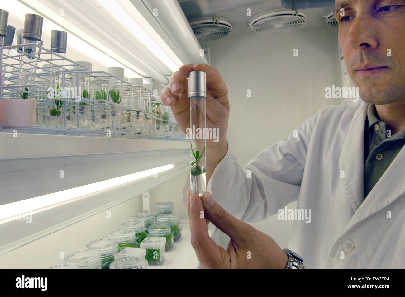 Valdera italy hi-res stock photography and images - Alamy