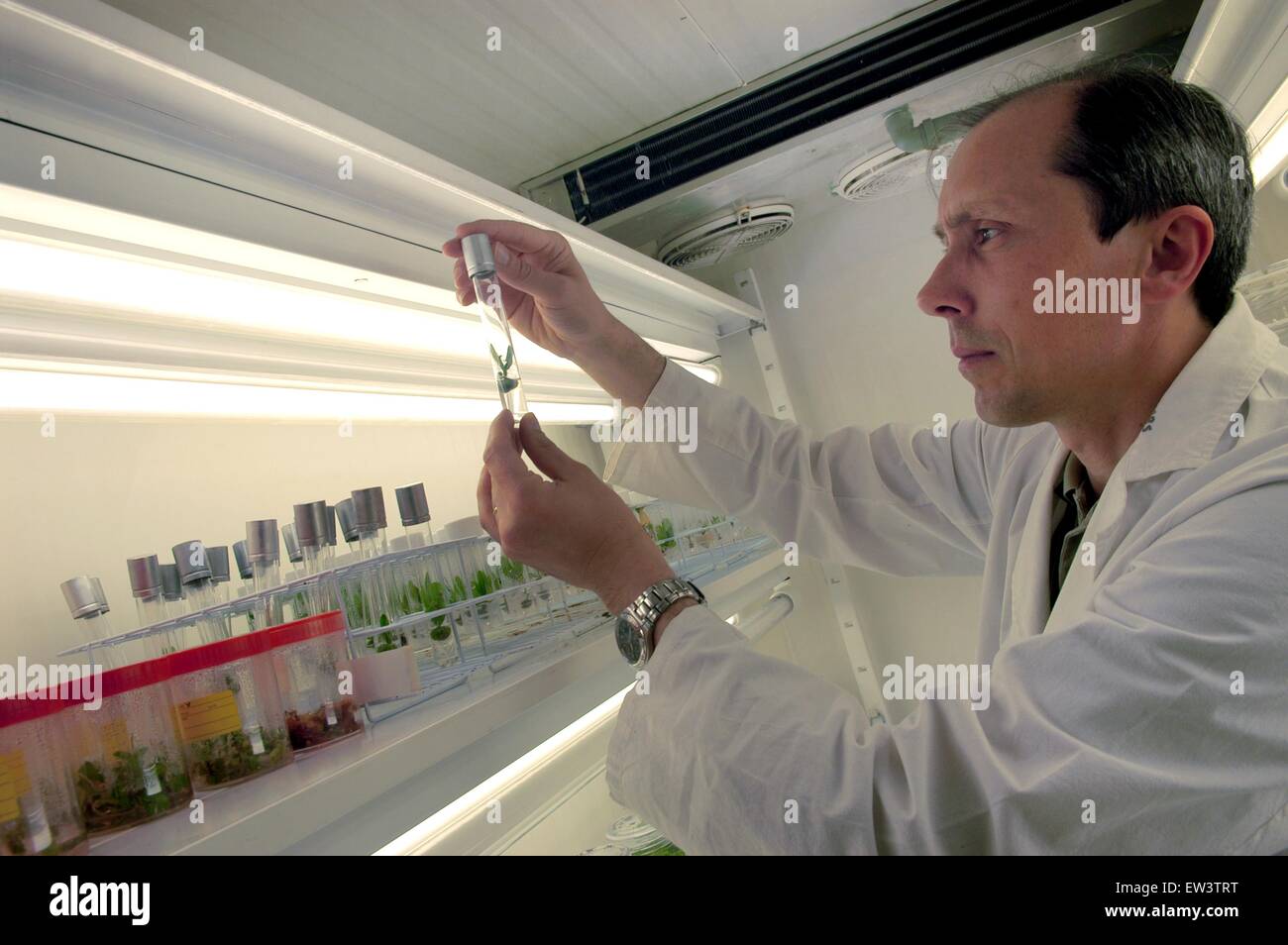 Advanced School St.Anna of Pisa (Italy), research center of Pontedera ...