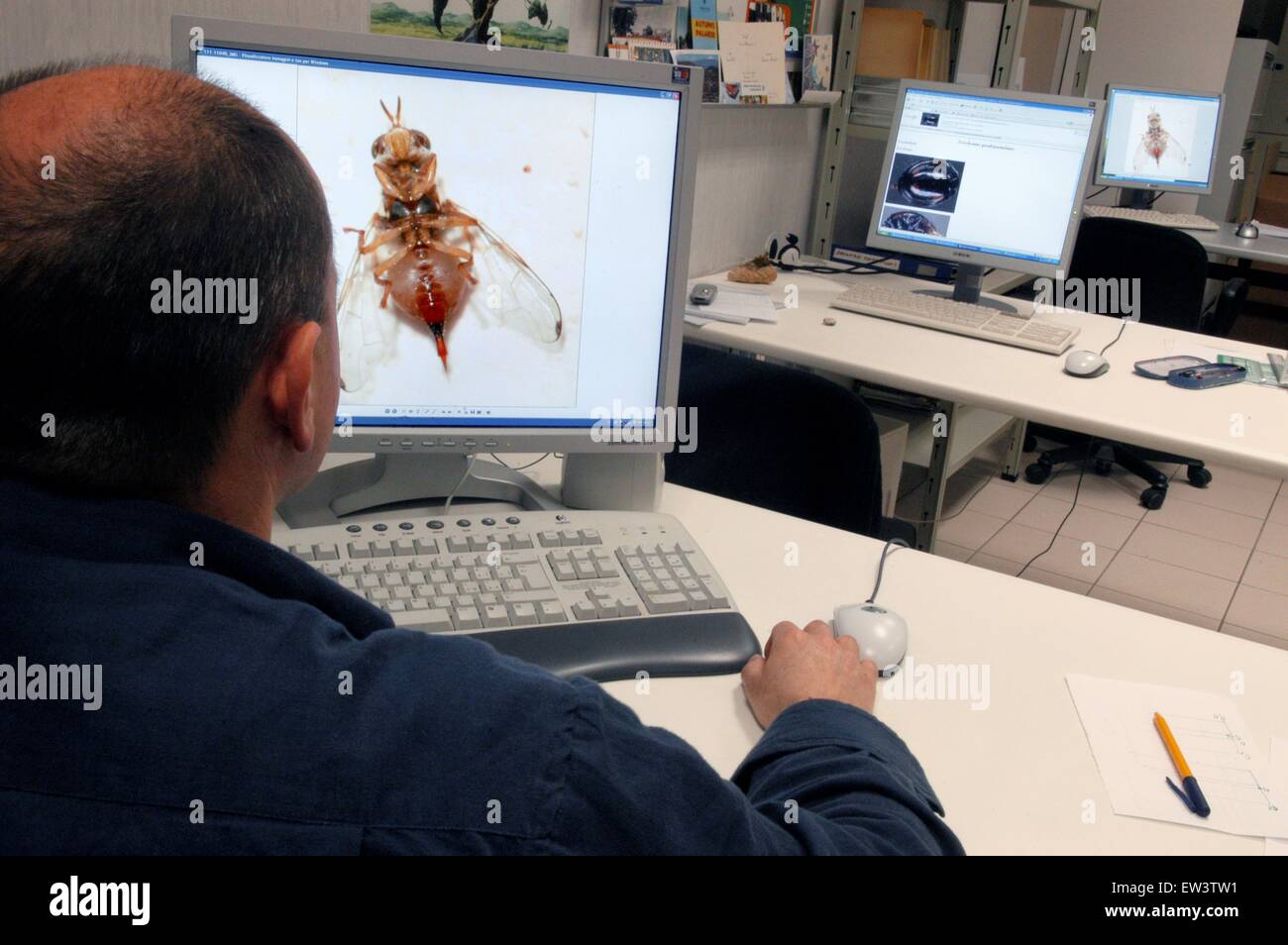 Advanced School St.Anna of Pisa (Italy), research center of Pontedera ...