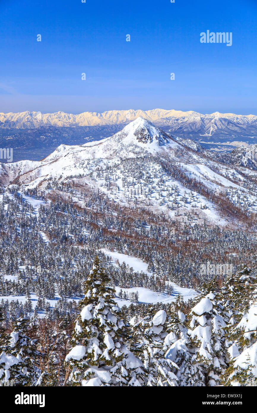 Shiga Kogen resort in winter, Nagano, Japan Stock Photo - Alamy