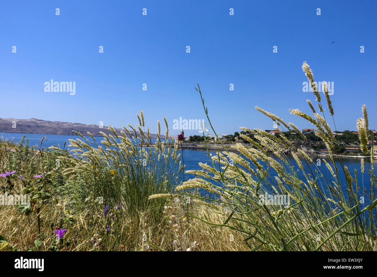 Kvarn hi-res stock photography and images - Alamy