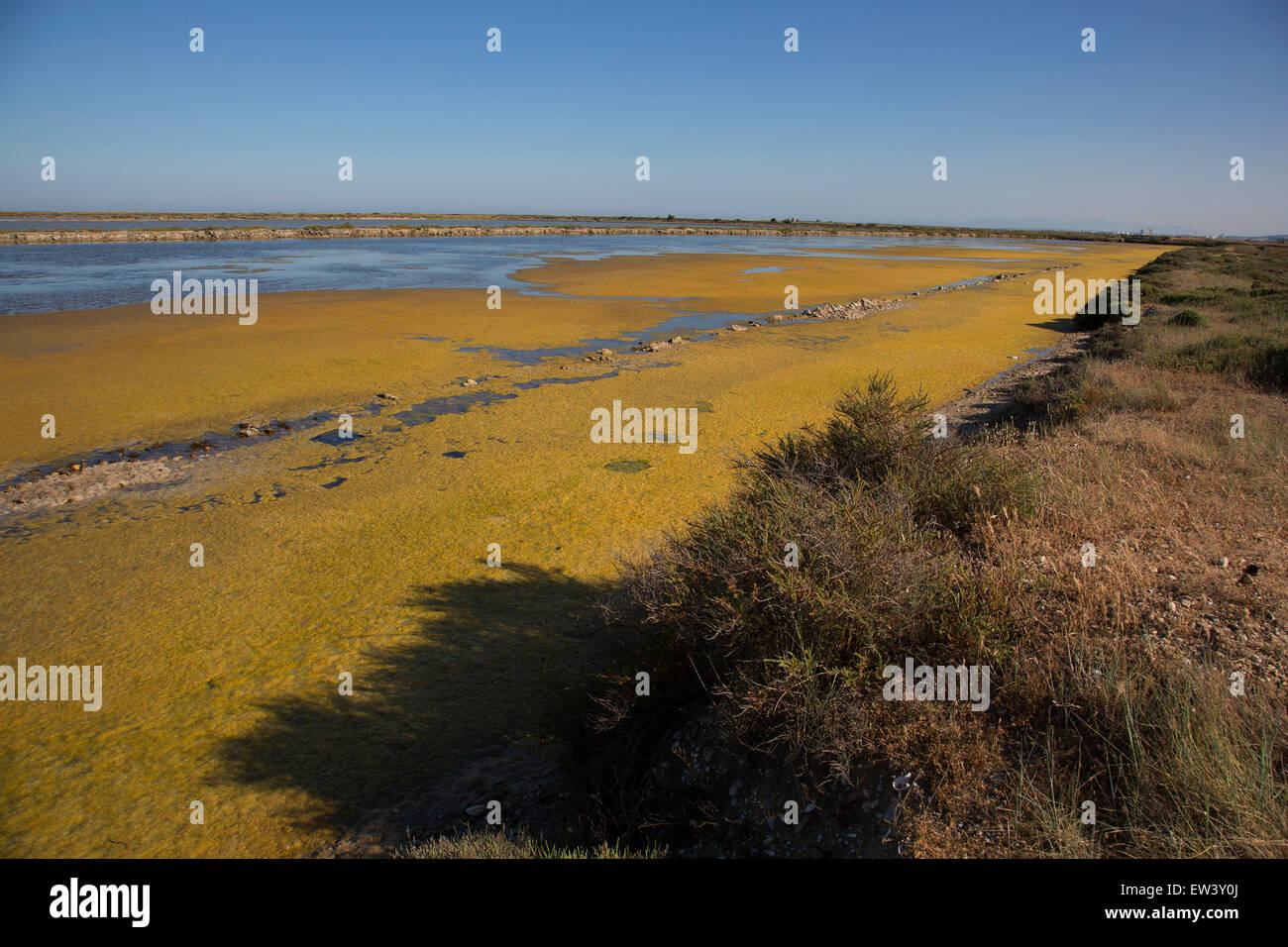 Famous salt flats at Gruissan, Languedoc-Roussillon, France. This area ...