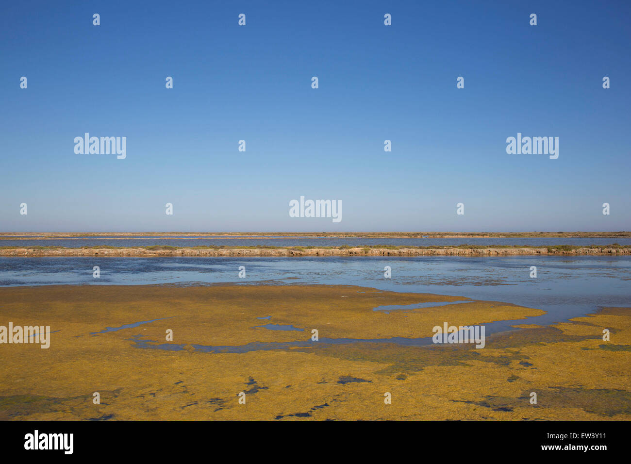 Famous salt flats at Gruissan, Languedoc-Roussillon, France. This area ...