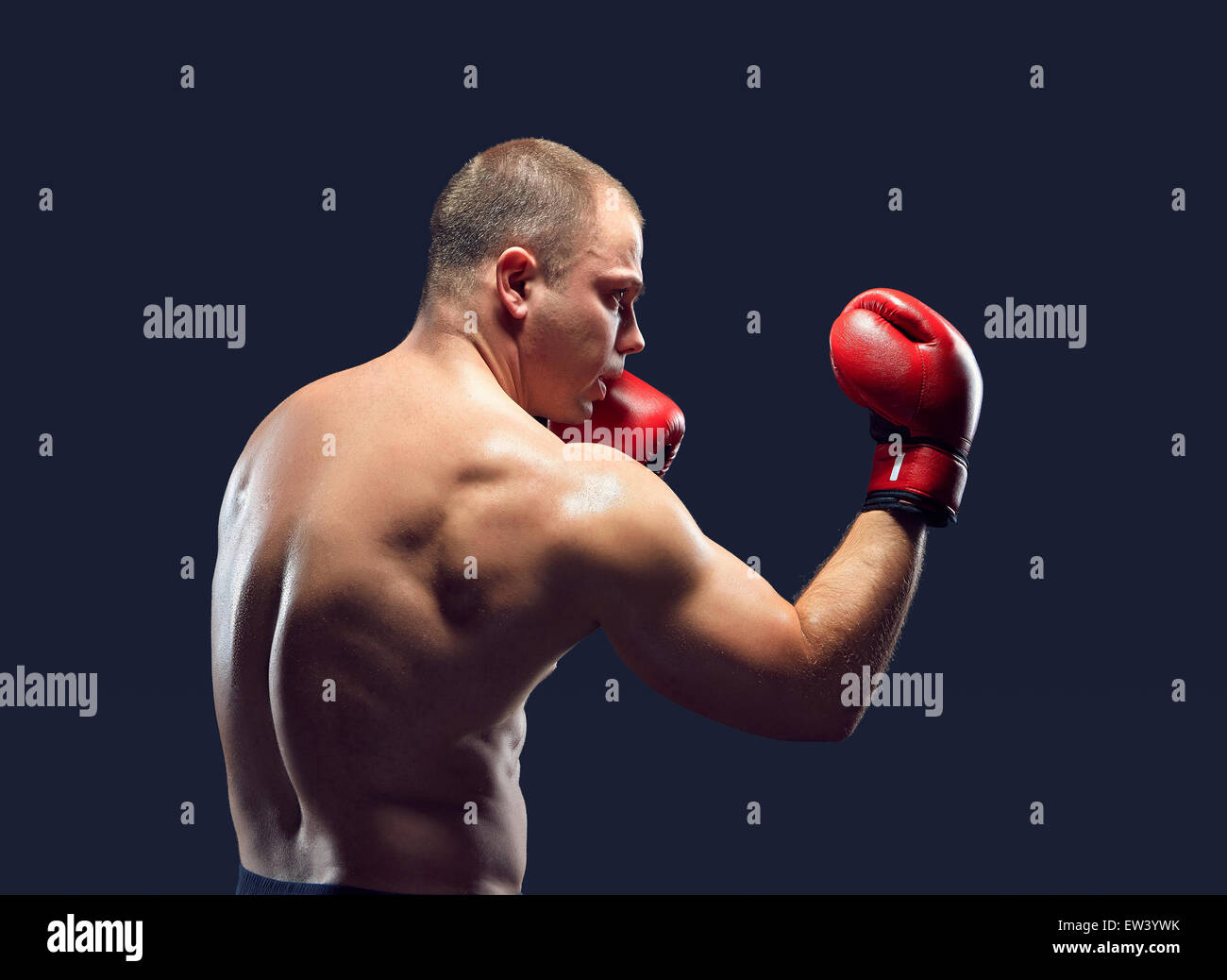 Young Boxer boxing Stock Photo - Alamy