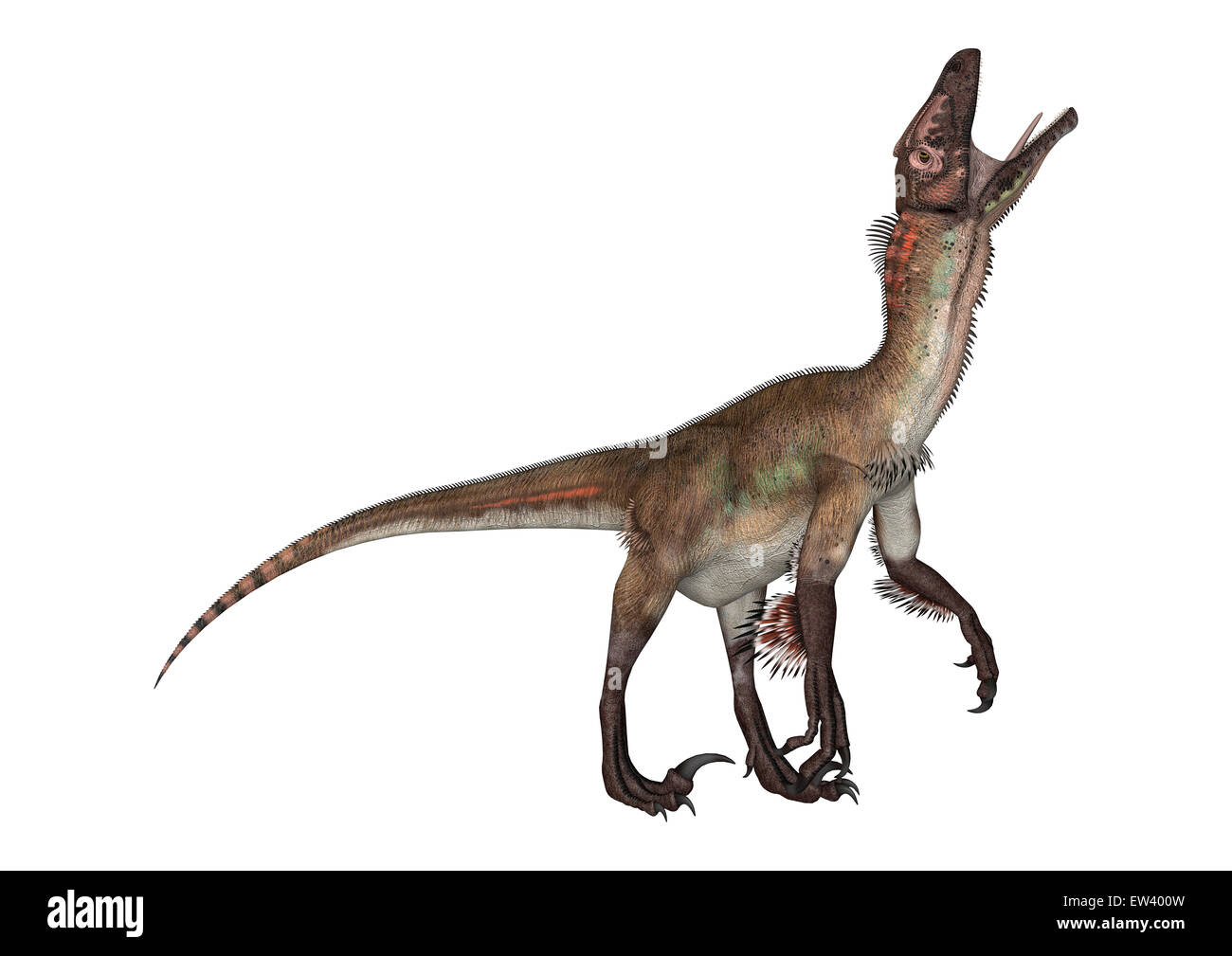 3D digital render of a dinosaur utahraptor isolated on white background ...