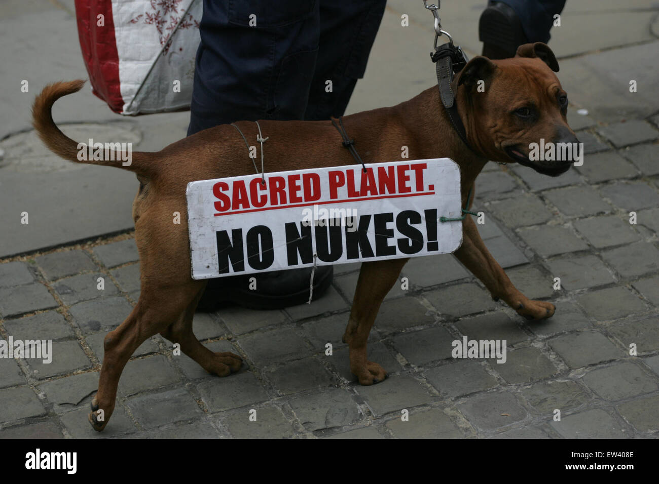 Wearing a sign hi-res stock photography and images - Alamy