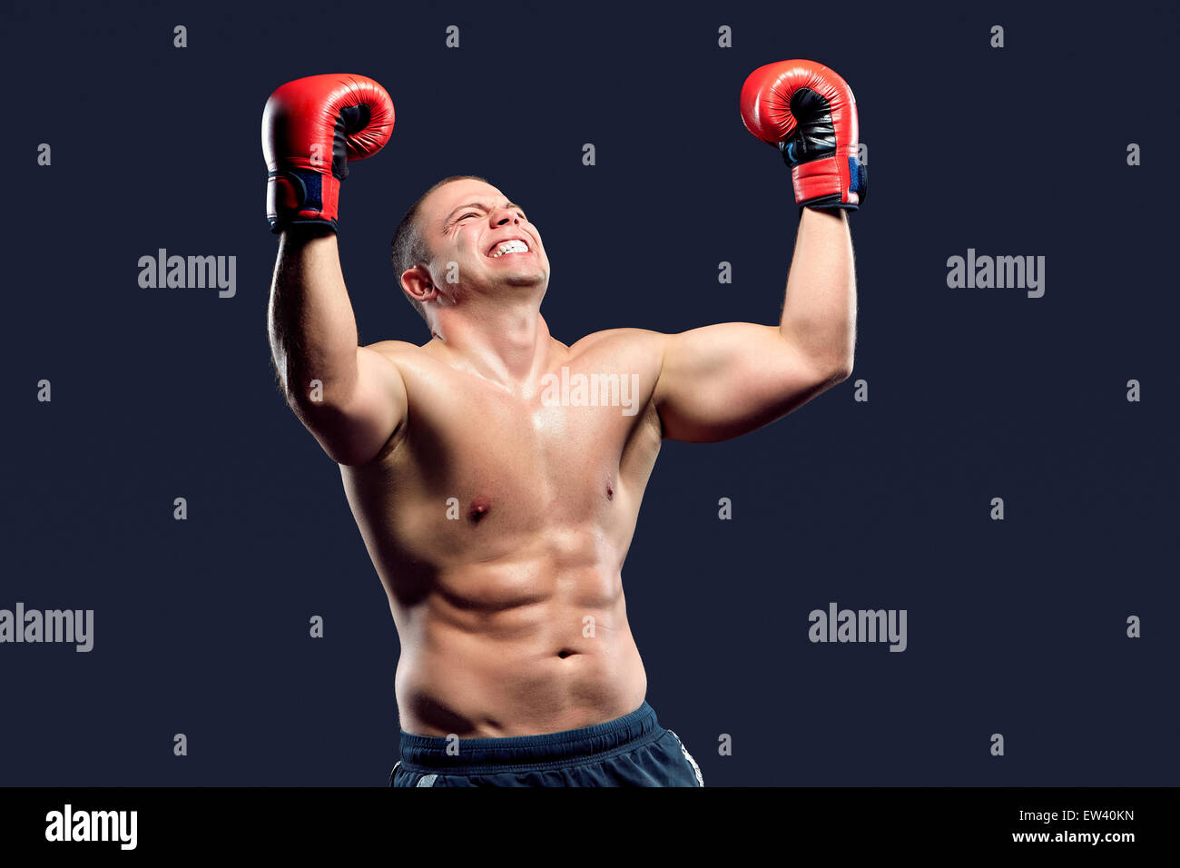 Portrait of a boxer champion enjoying his victory. Studio shot Stock ...