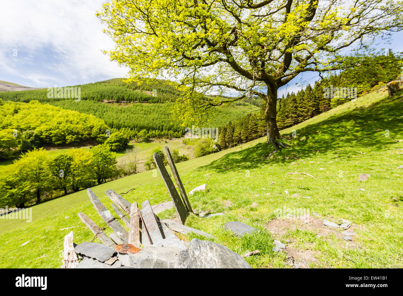 Old slate fence hi-res stock photography and images - Alamy
