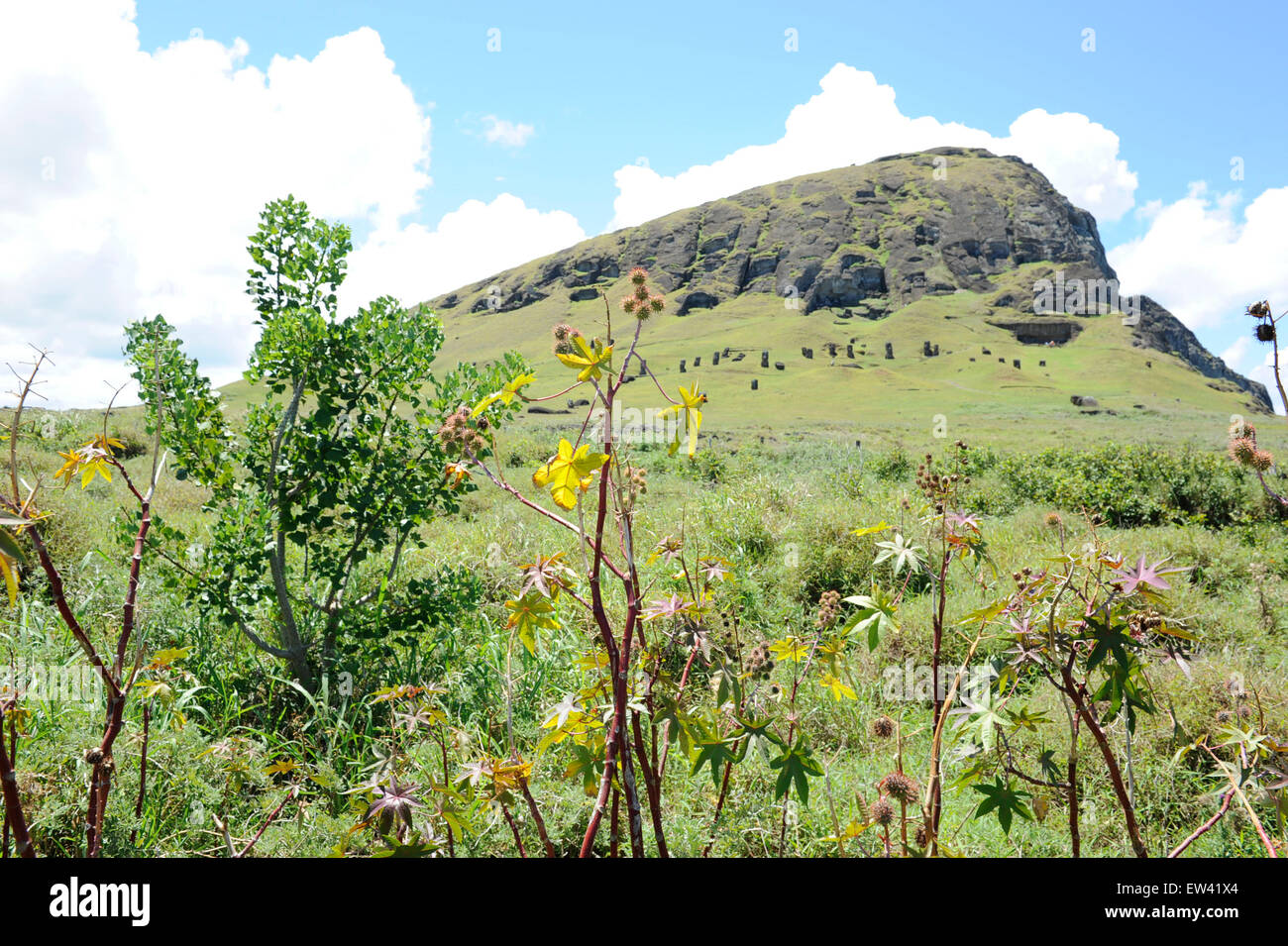 Rapa Nui 2014 Stock Photo - Alamy