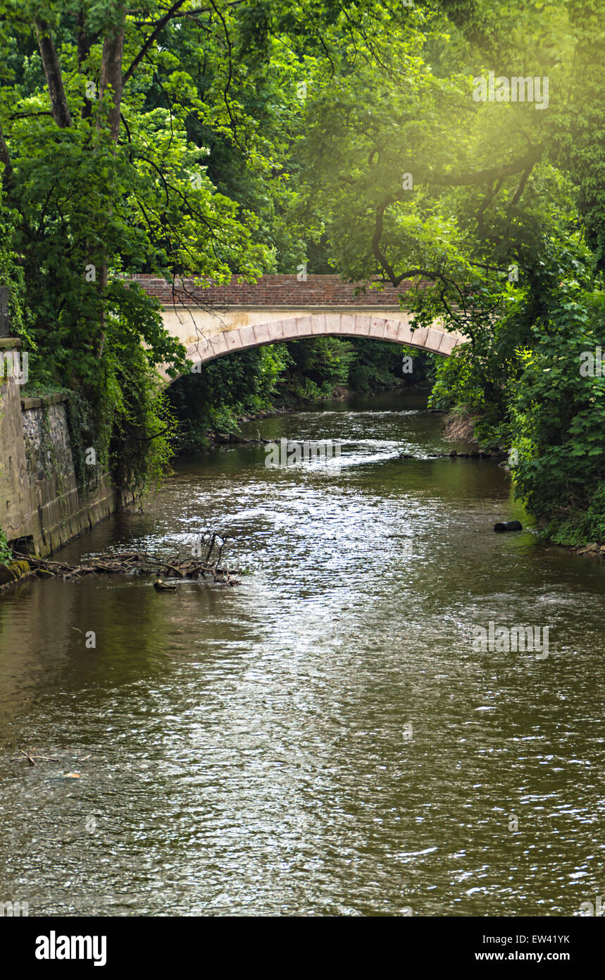 Old stone footbridge in wood Stock Photo - Alamy