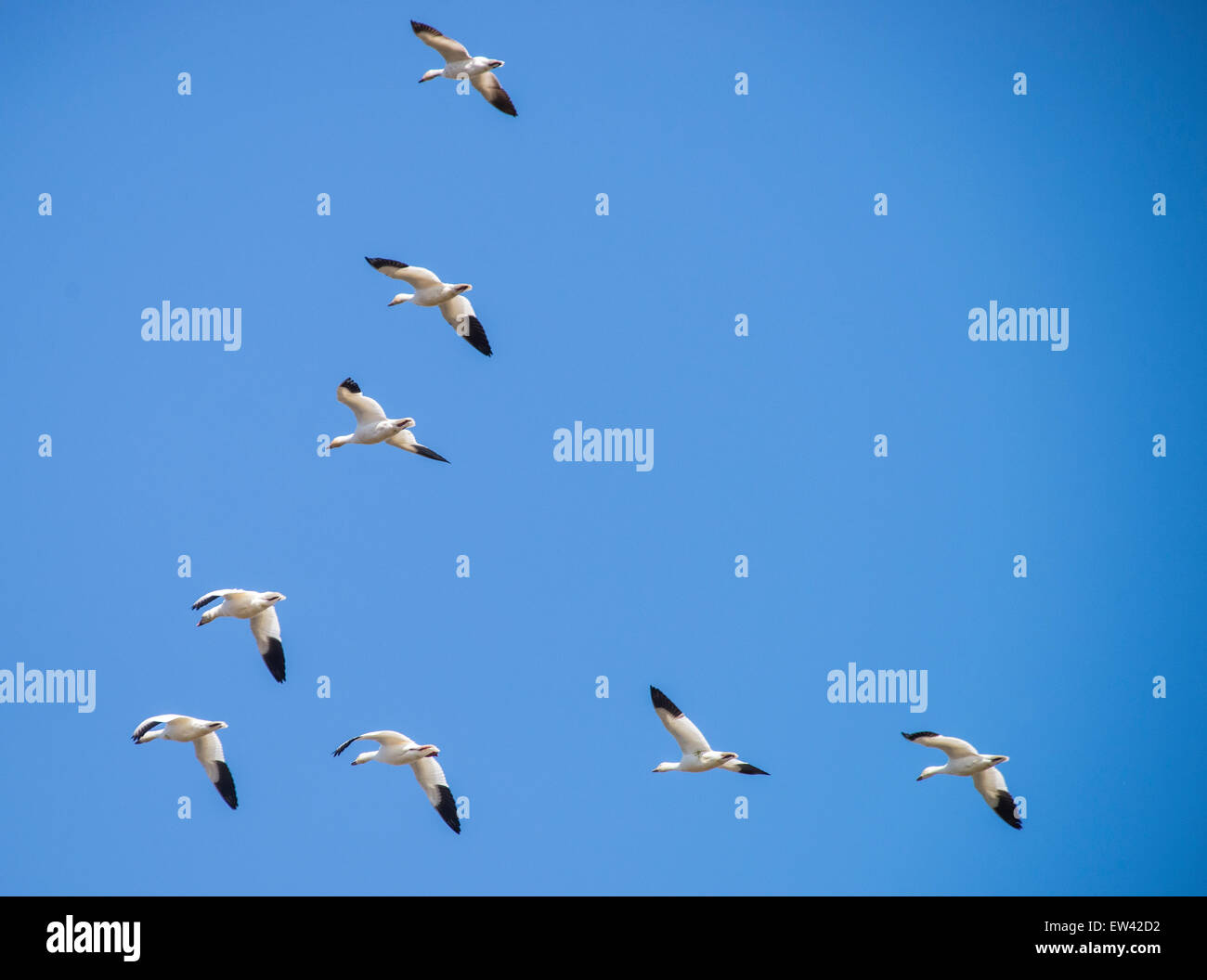 Different patterns hi-res stock photography and images - Alamy