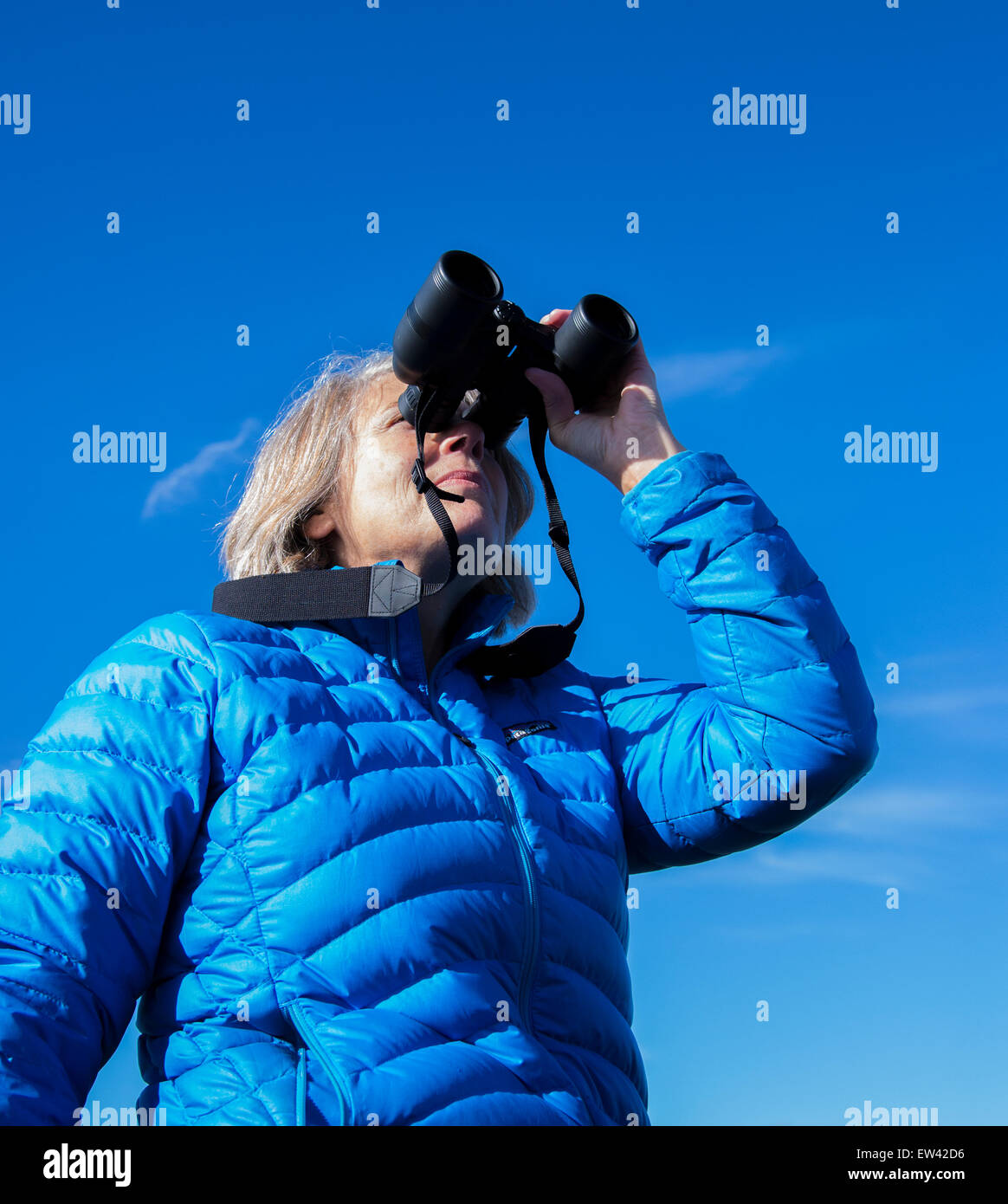 Wildlife watching hi-res stock photography and images - Alamy
