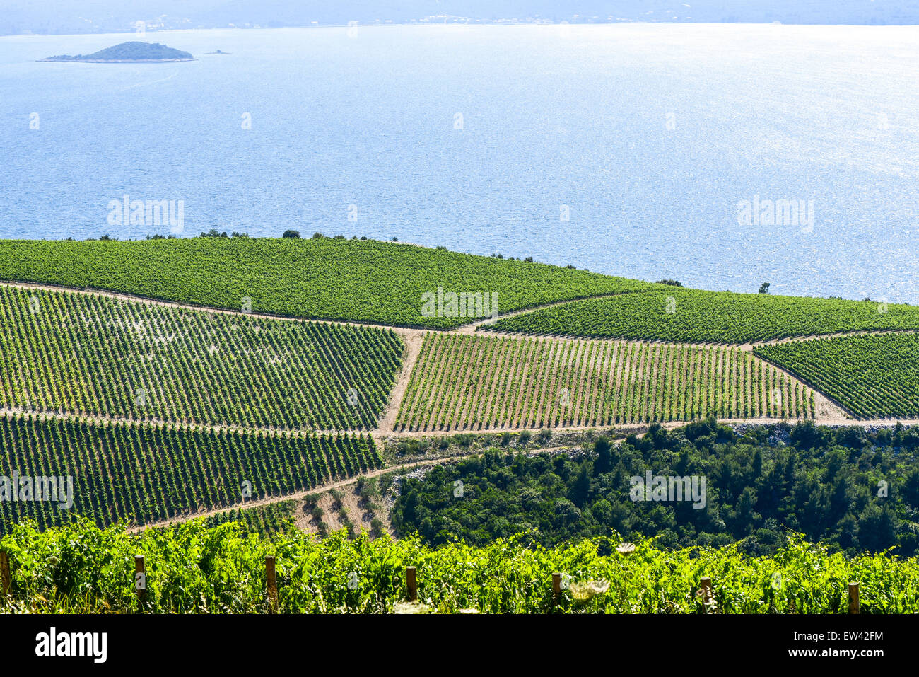 Wine growing area hi-res stock photography and images - Alamy