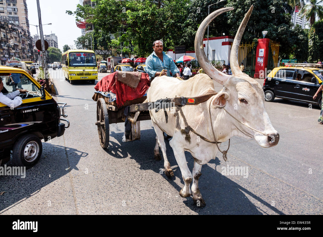 Indian Cart High Resolution Stock Photography and Images - Alamy