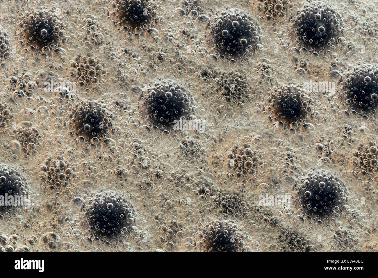 Bubbly foam texture Stock Photo - Alamy
