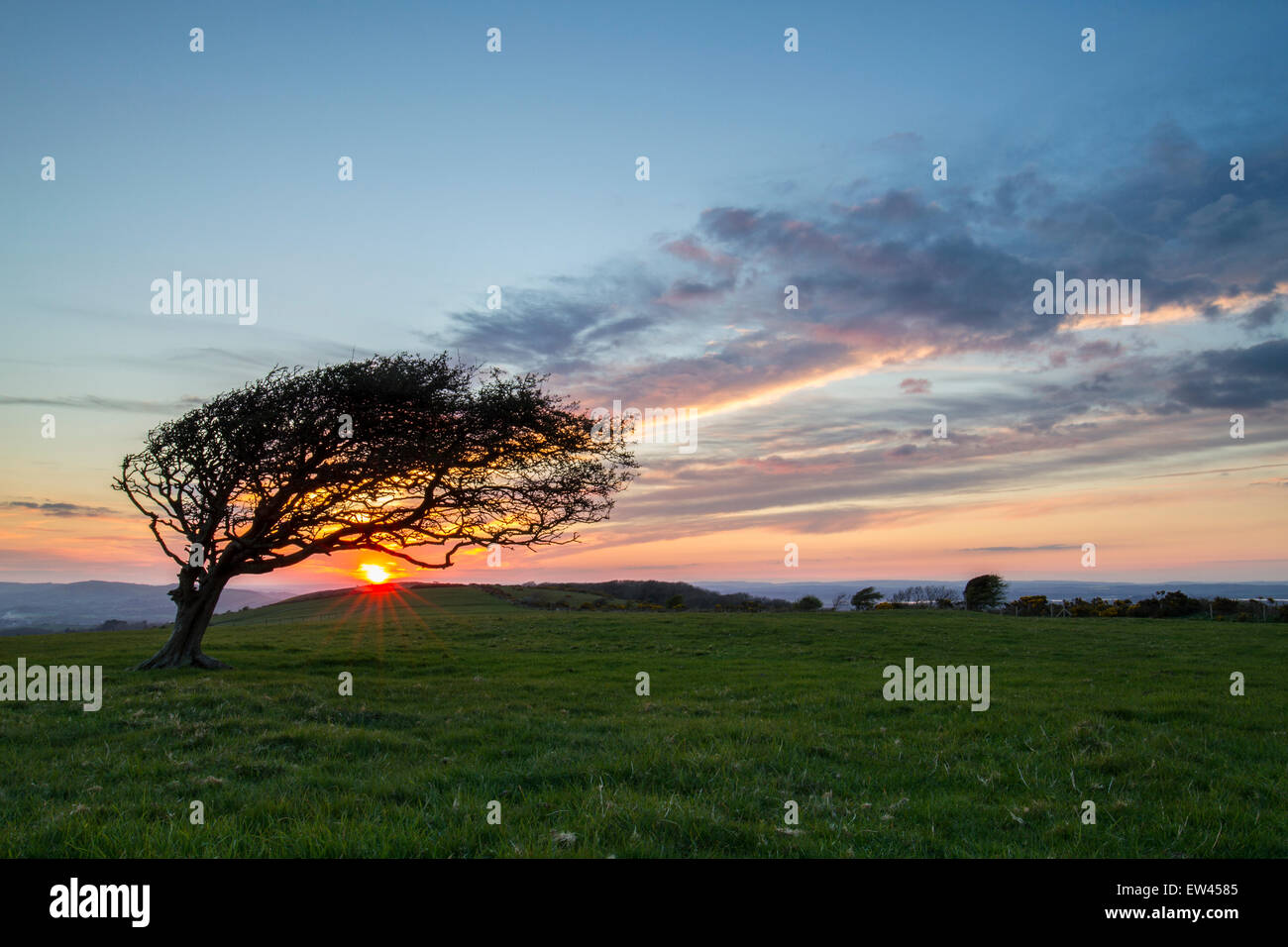 Windswept clouds hi-res stock photography and images - Alamy
