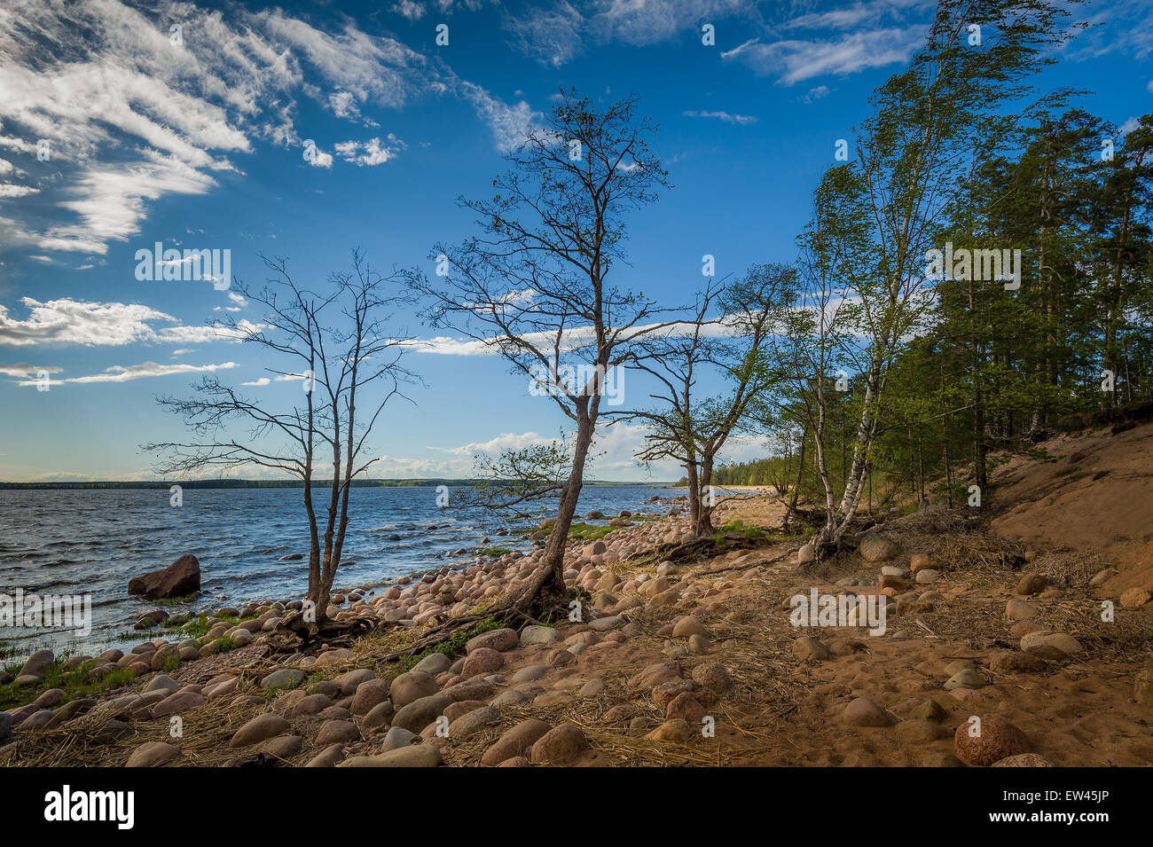 Nordic bay shore Stock Photo - Alamy