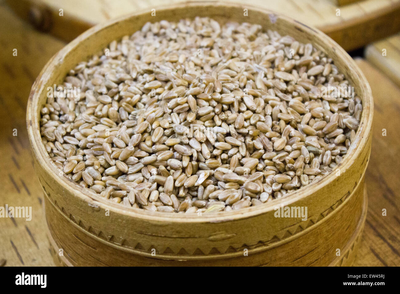 Wheat grains ,Grain of the wheat , whole wheat grains Stock Photo - Alamy