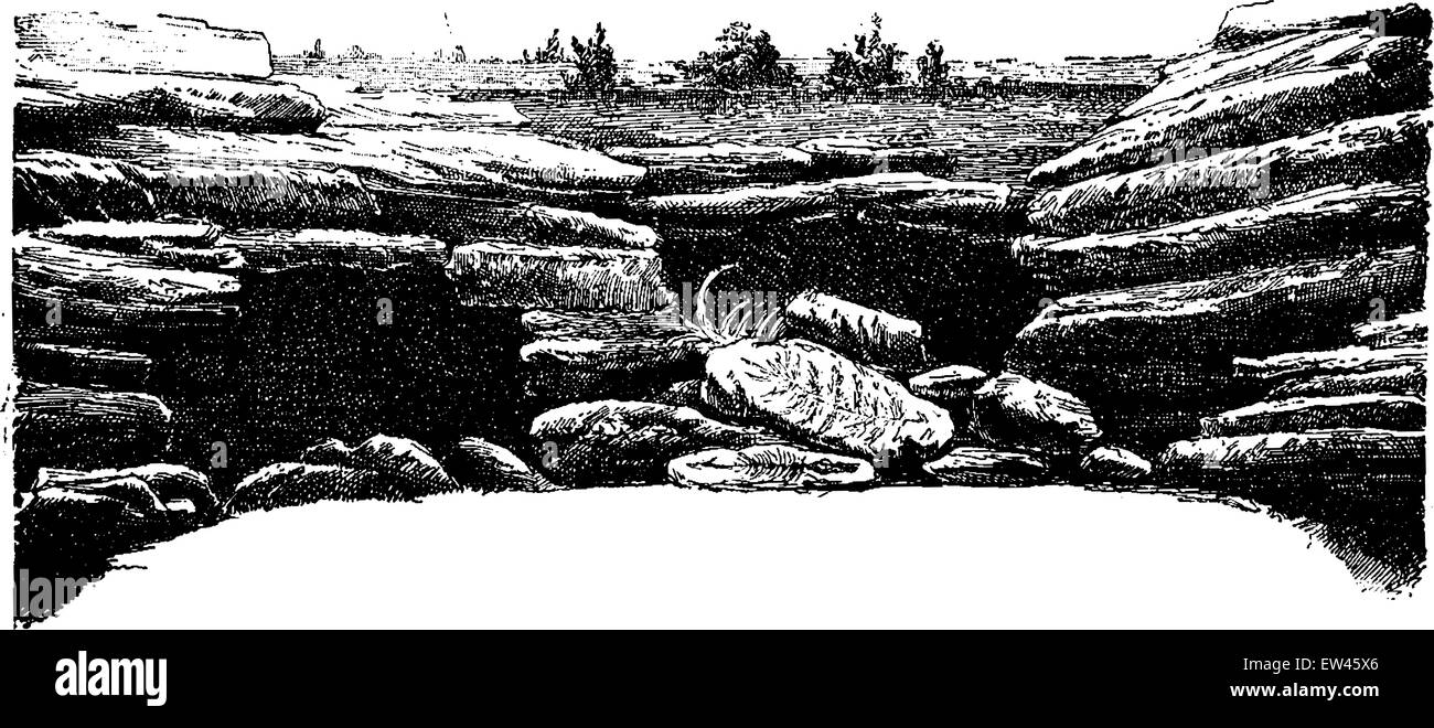 Epochs of nature, Their classification, vintage engraved illustration ...