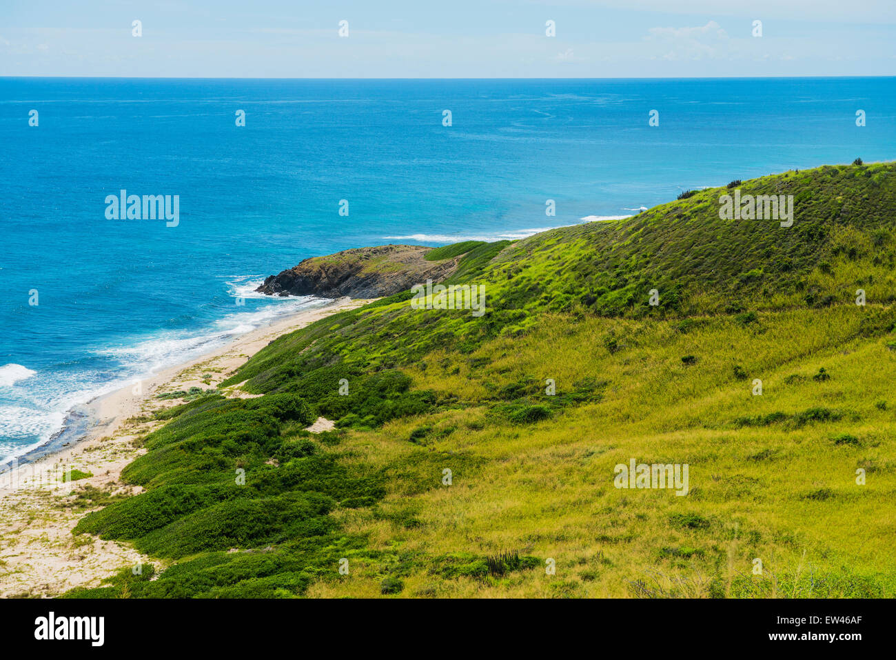 Caribbean ecosystem hi-res stock photography and images - Alamy