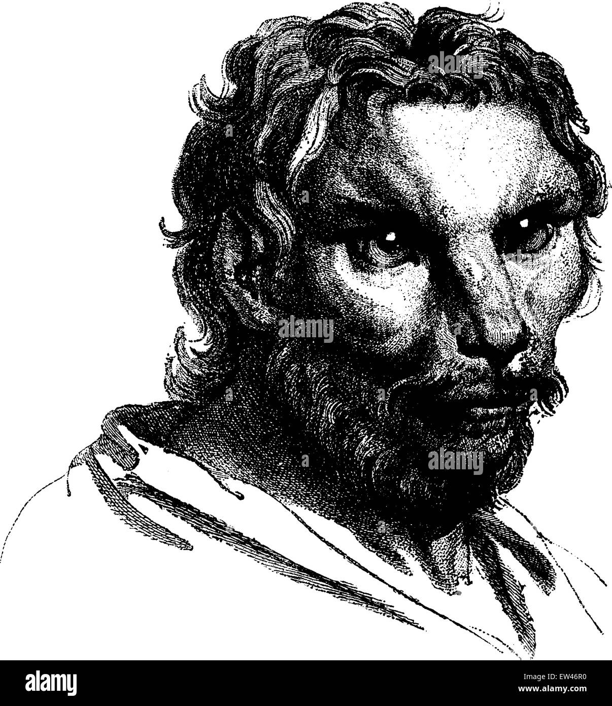 Cat, vintage engraved illustration. Earth before man – 1886 Stock ...