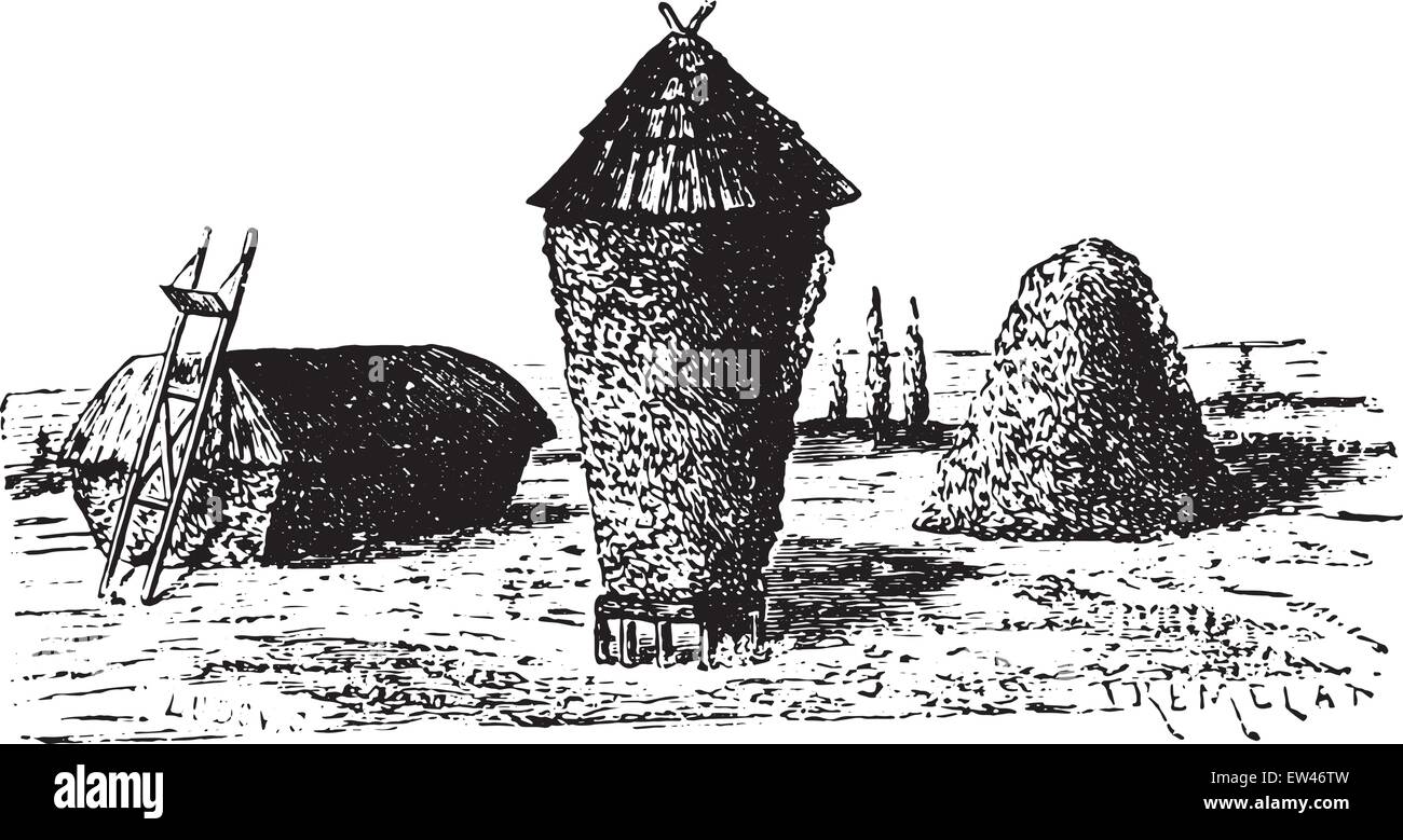 Hay Stock Vector Images - Alamy