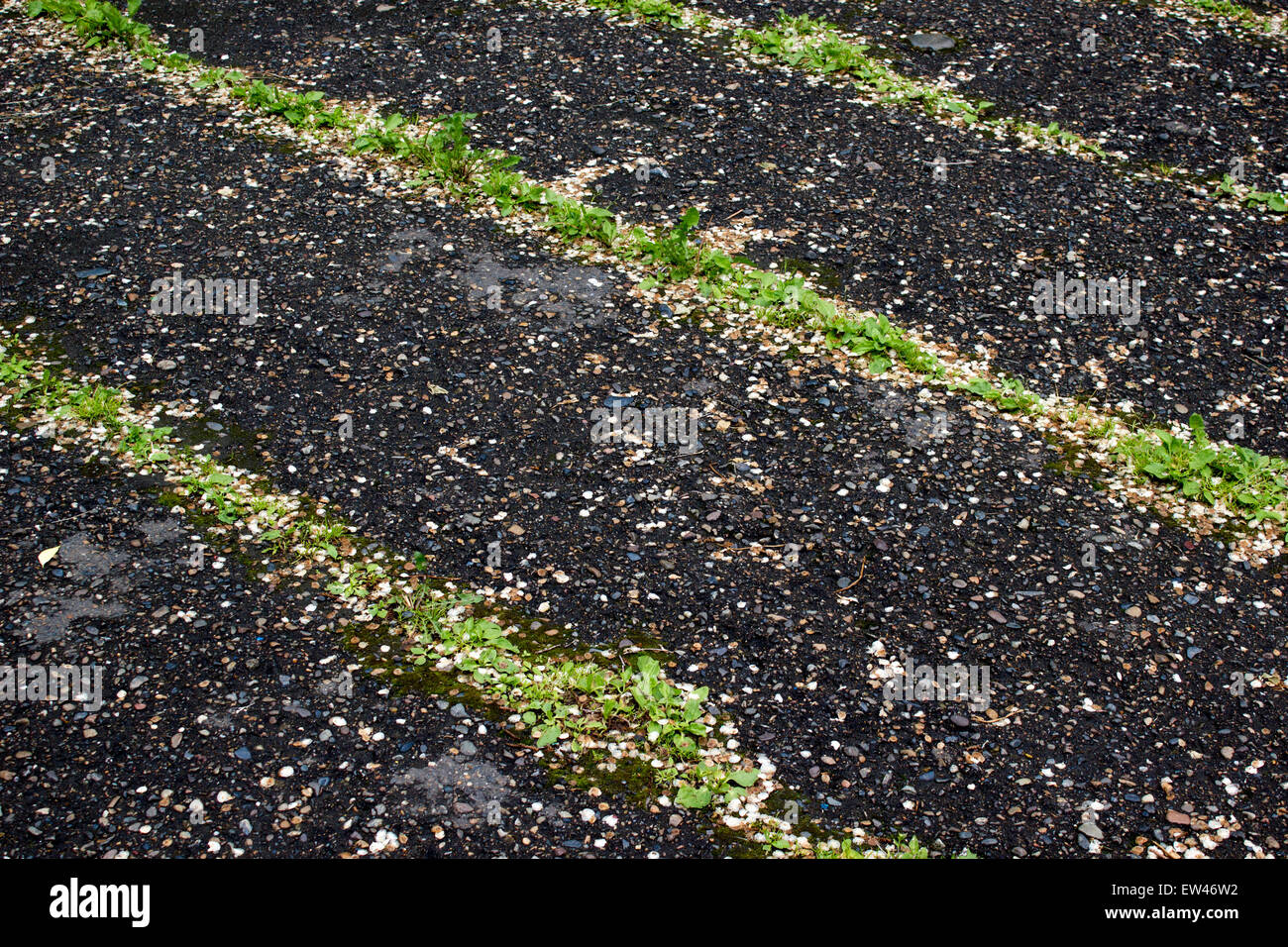 Tarmac asphalt grit hi-res stock photography and images - Alamy
