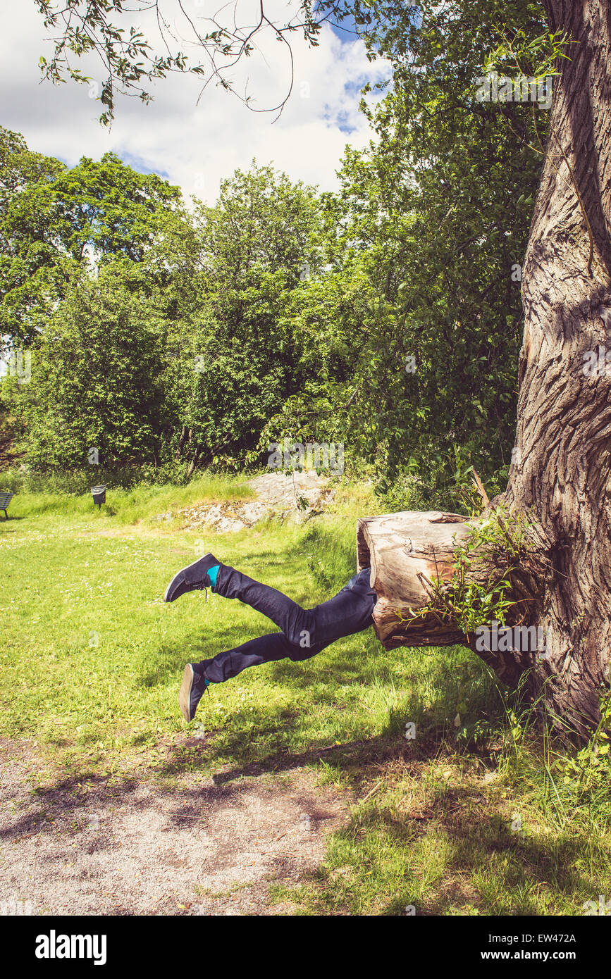 Young chainsaw habitat hi-res stock photography and images - Alamy