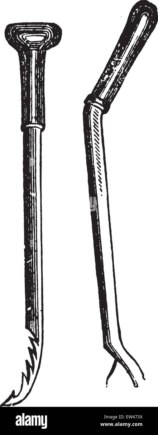 Asparagus knife Stock Vector Images - Alamy