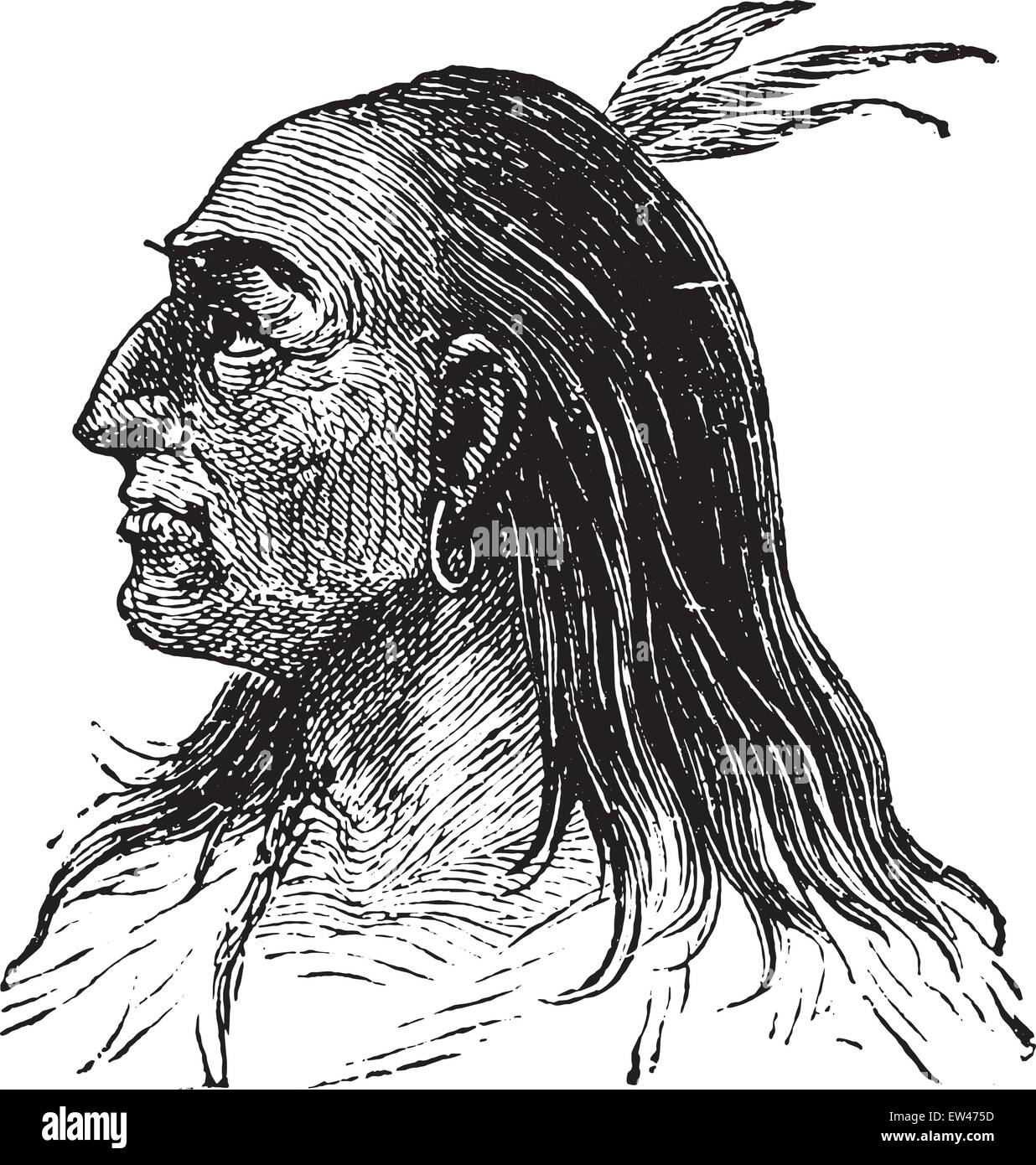 Red or American race, vintage engraved illustration Stock Vector Image ...