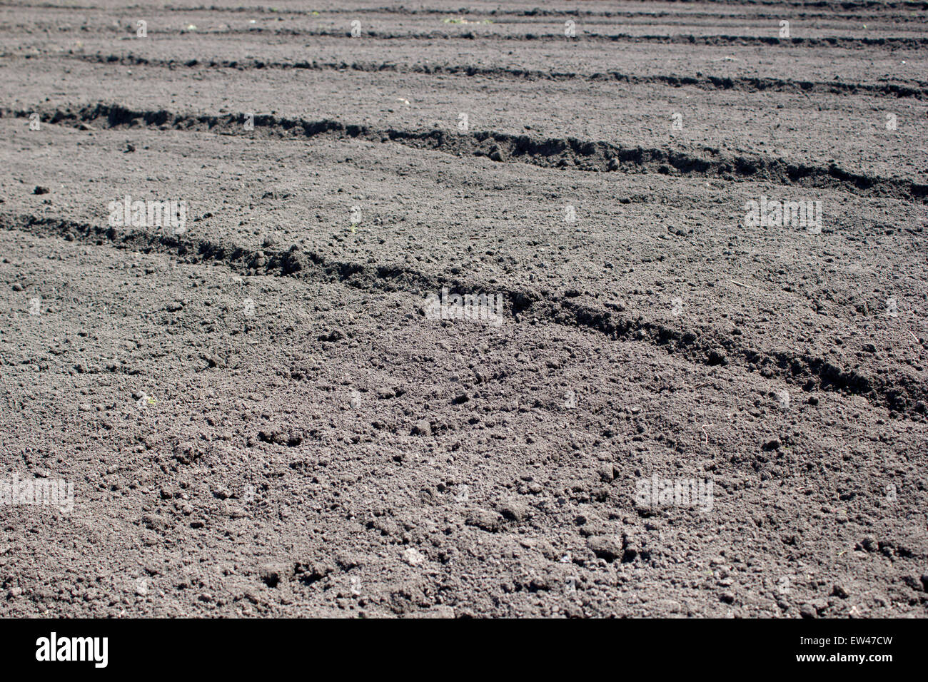 Lump of dirt hi-res stock photography and images - Alamy