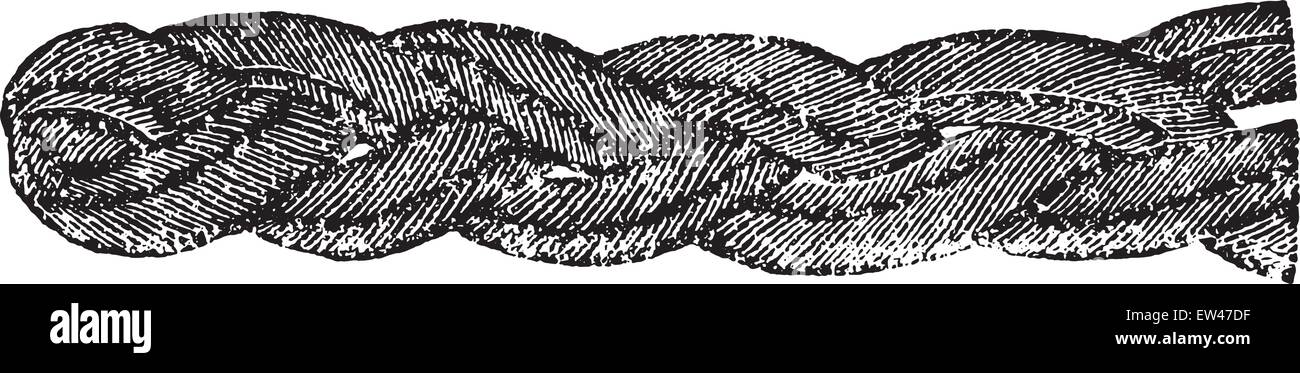 Three plait trimming, vintage engraved illustration Stock Vector Image ...