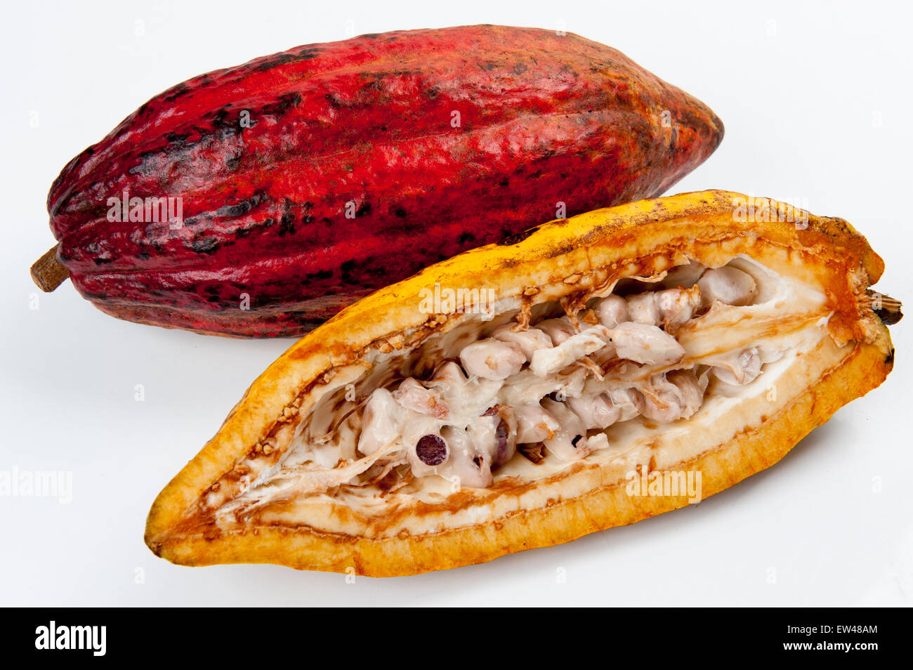 Cocoa - raw fruit to making chocolate Stock Photo - Alamy