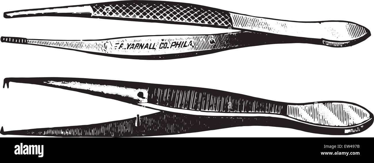 Dissecting forceps Stock Vector Images - Alamy