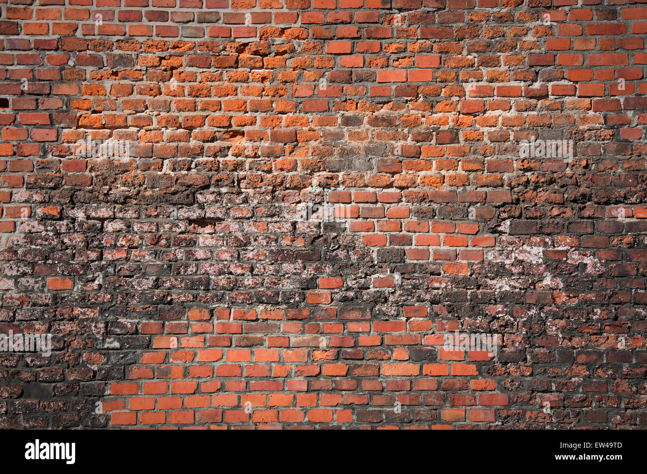 Wall patt hi-res stock photography and images - Alamy