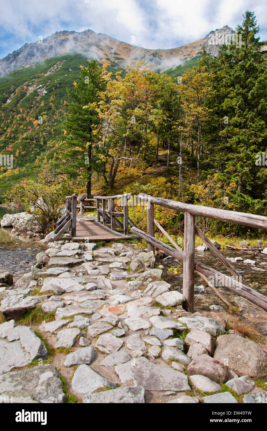 bridge in the forest Stock Photo - Alamy