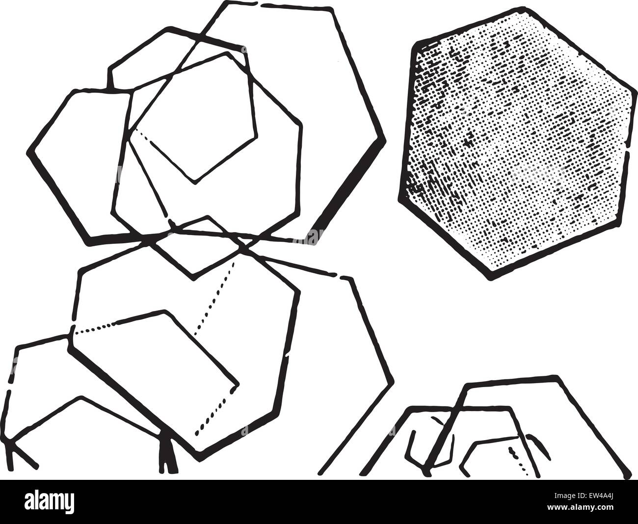 Cystine Stock Vector Images - Alamy