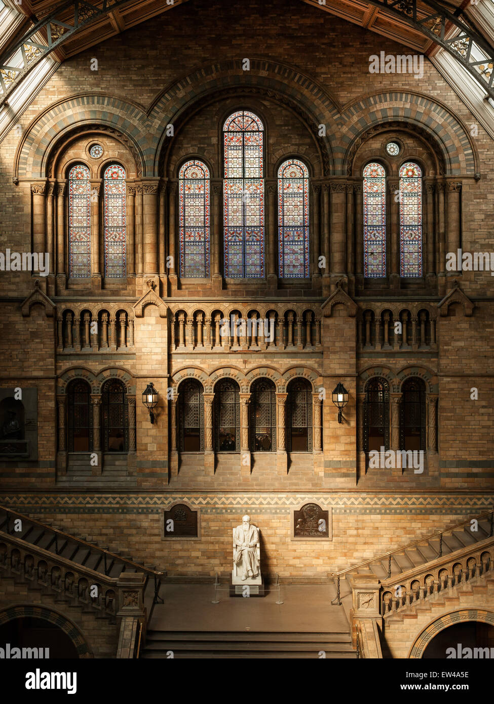 Darwin the natural history museum hi-res stock photography and images ...