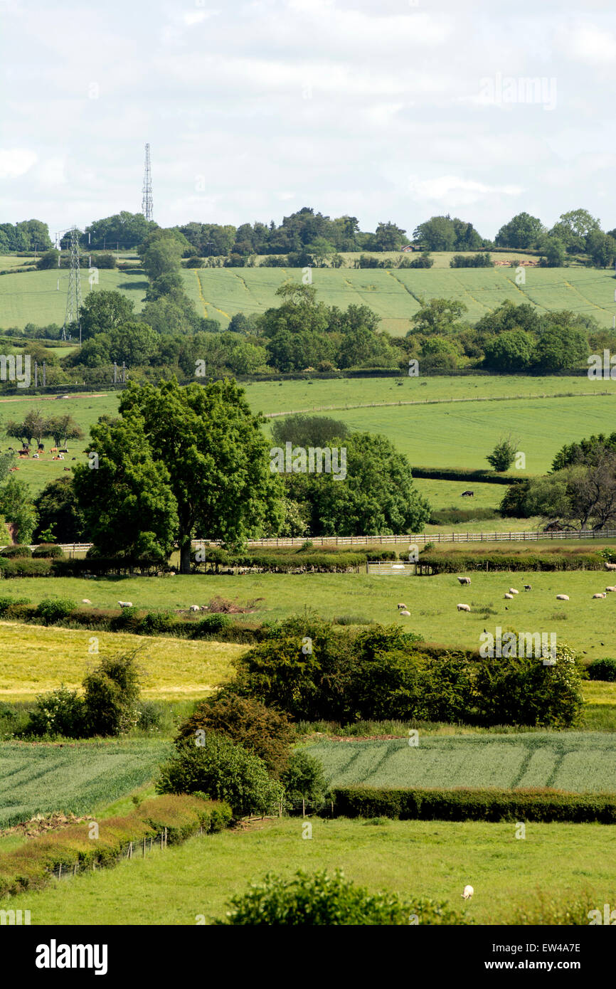 Northamptonshire Countryside High Resolution Stock Photography and ...