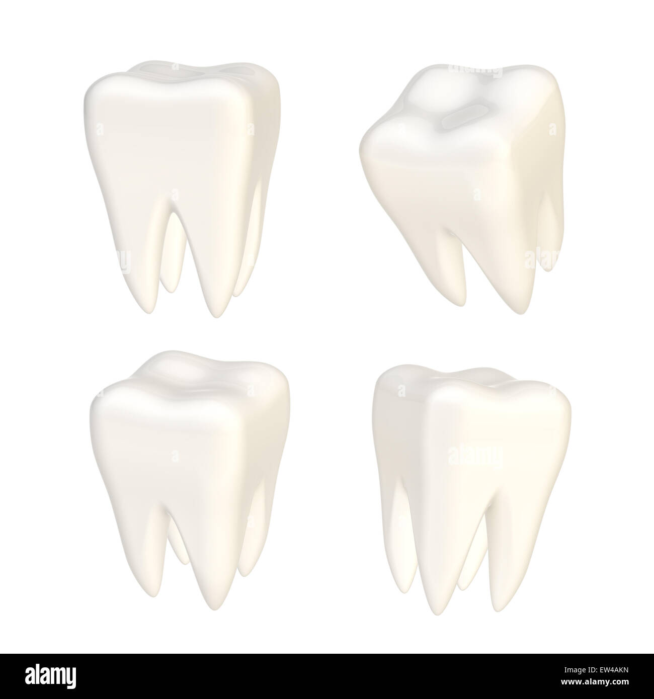 Set of four teeth isolated Stock Photo - Alamy