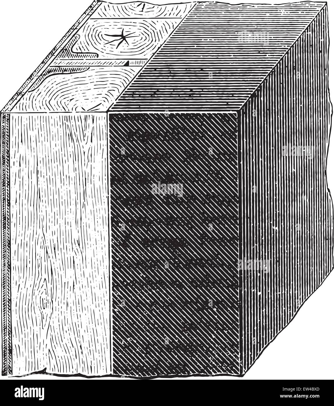 Italian transport history Stock Vector Images - Alamy