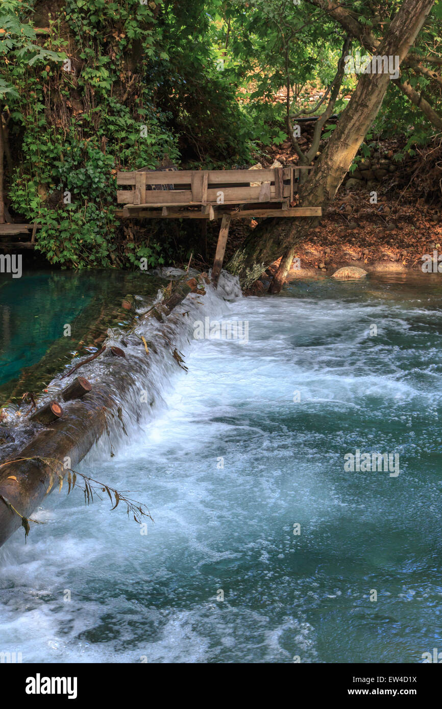 Small lake flowing like waterfall among big jungle trees in Yuvarlak ...