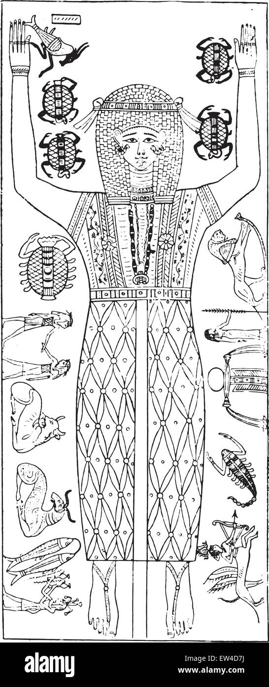 Sarcophagus vector vectors hi-res stock photography and images - Alamy