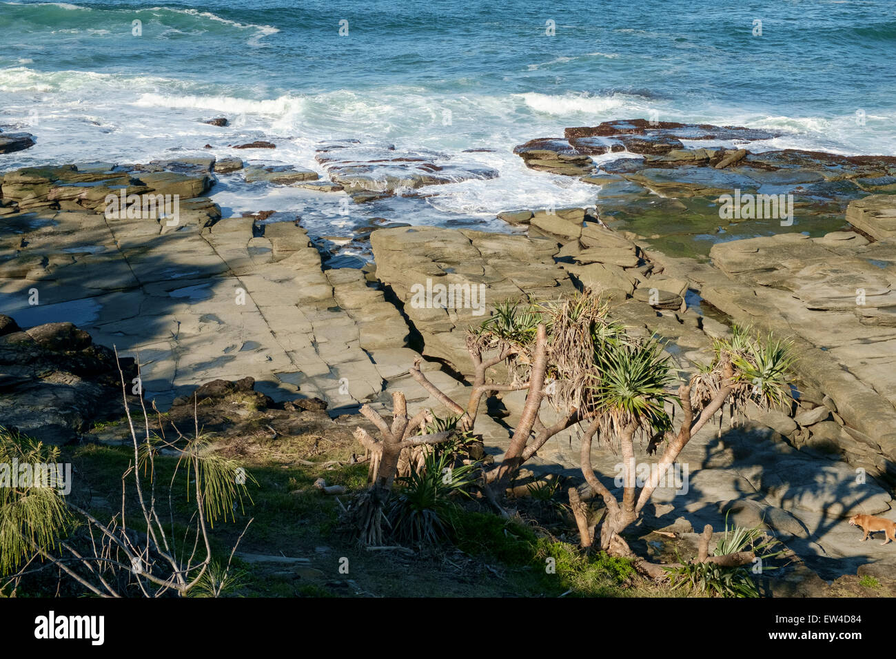 At Point Cartwright Stock Photo - Alamy