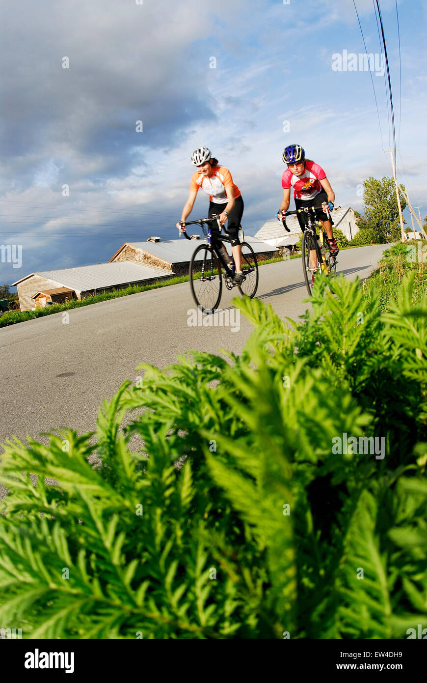 Slough road hi-res stock photography and images - Alamy