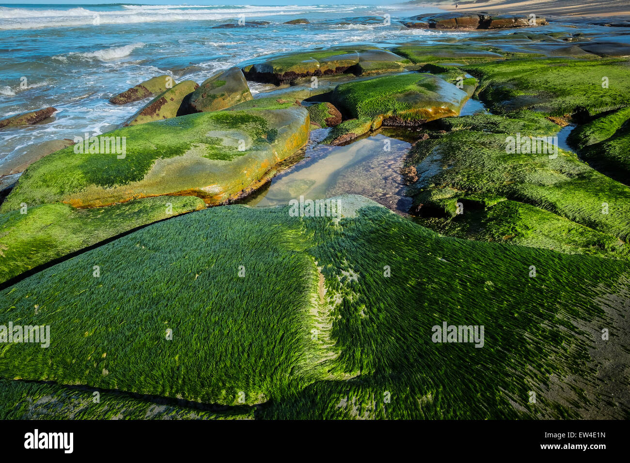 At Point Cartwright Stock Photo - Alamy